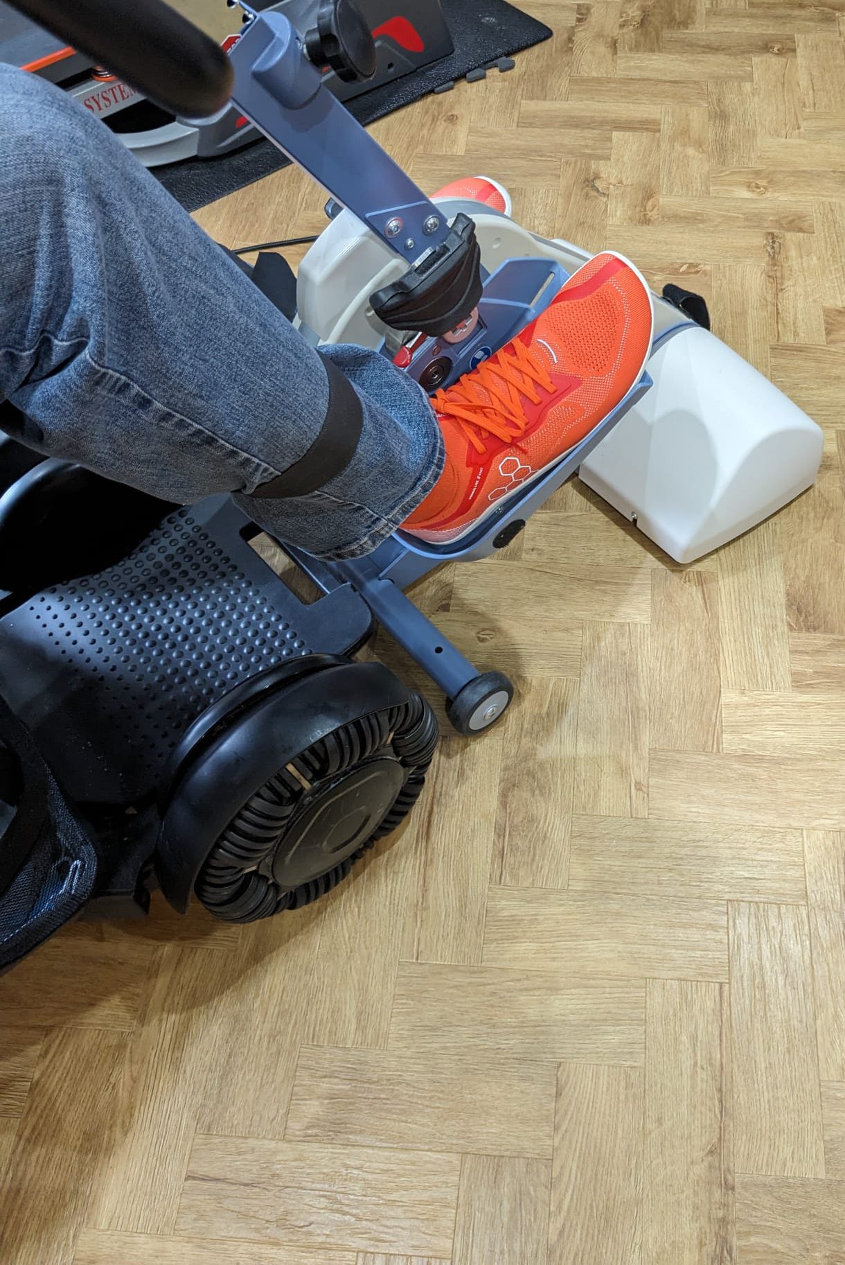 Gym | MS Therapy Centre NW